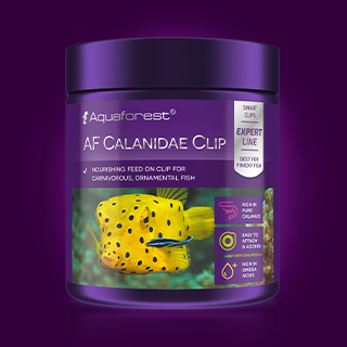 AF Calanidae Clip – AquaForest Aquarium Studio