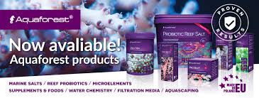 Aquaforest Aquarium Studio – AquaForest Aquarium Studio