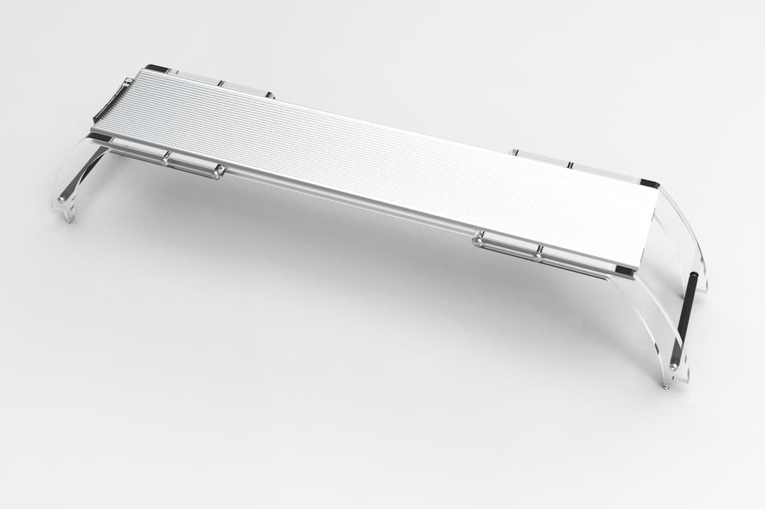 Bridge Heaven – AquaForest Aquarium Studio